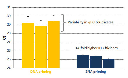 Zip Nucleic acid® (ZNA®) - Polyplus