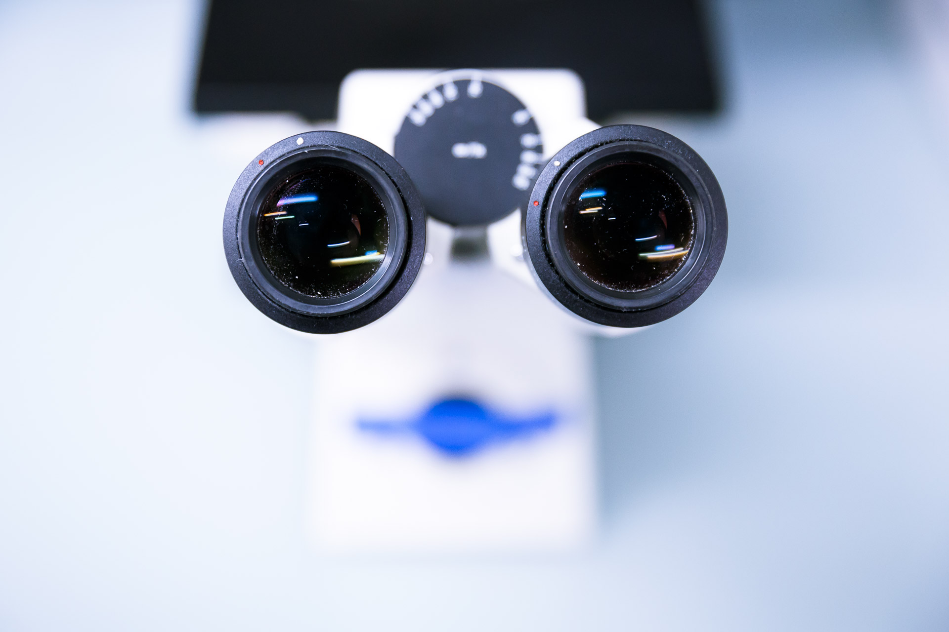 Poly+_Labo_S-13 - Polyplus