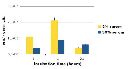 jetPEI-HUVEC - Incubation with serum - Polyplus