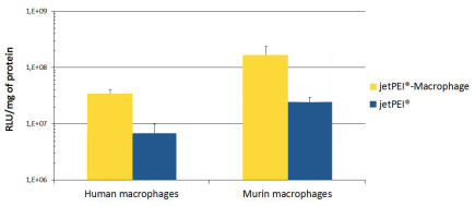jetPEI-Macrophage - comparison jetPEI - Polyplus