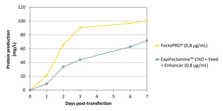 High density cell systems for protein production