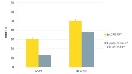 jetCRISPR - Comparison of genome editing efficiency - Polyplus