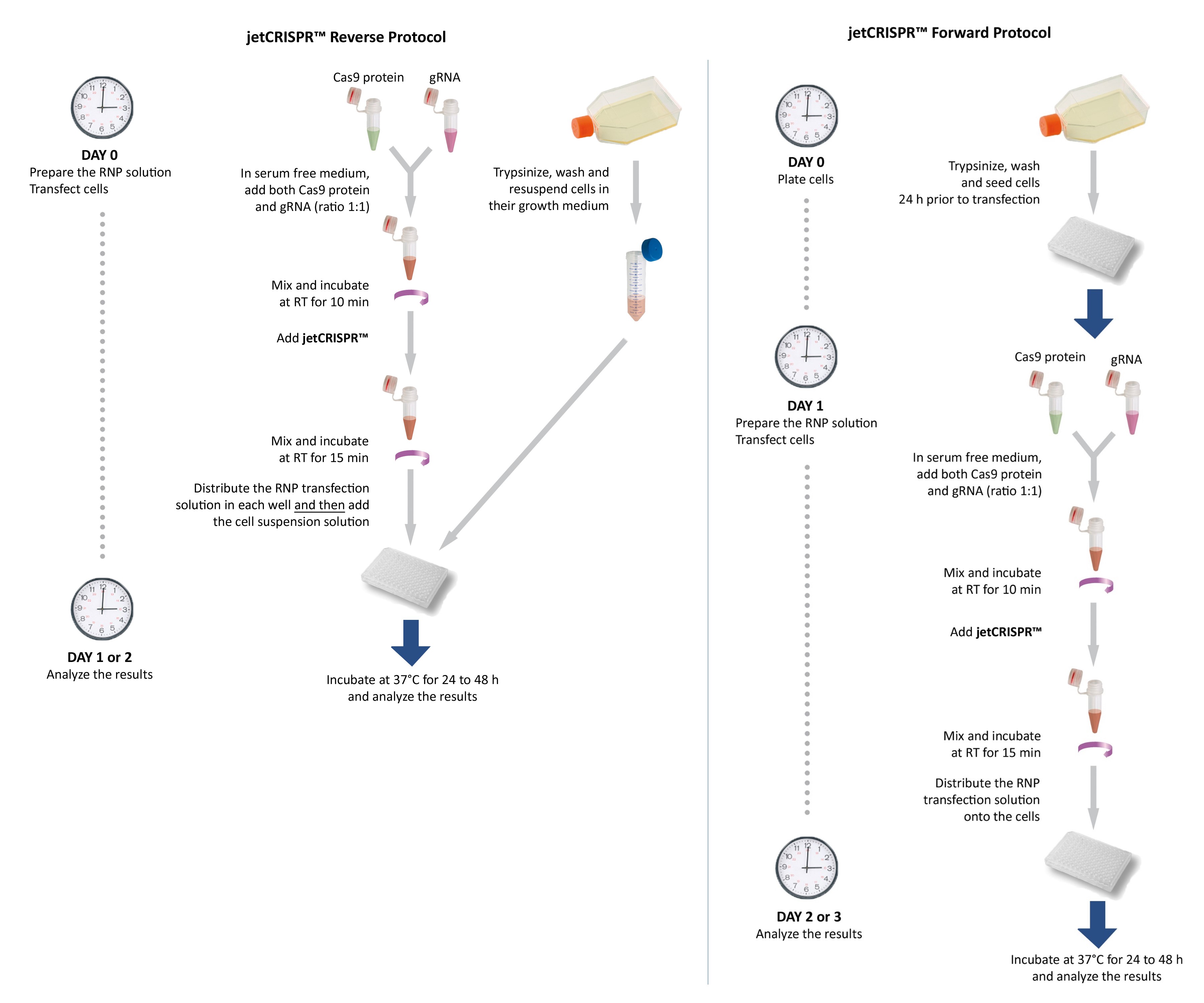 jetCRISPR - Protocols - Polyplus