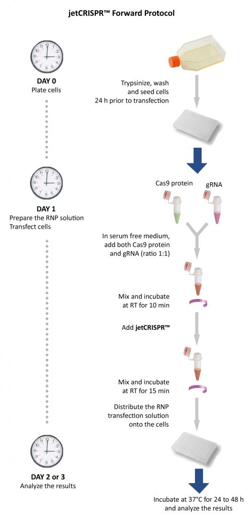 jetCRISPR protocol - Forward - Polyplus