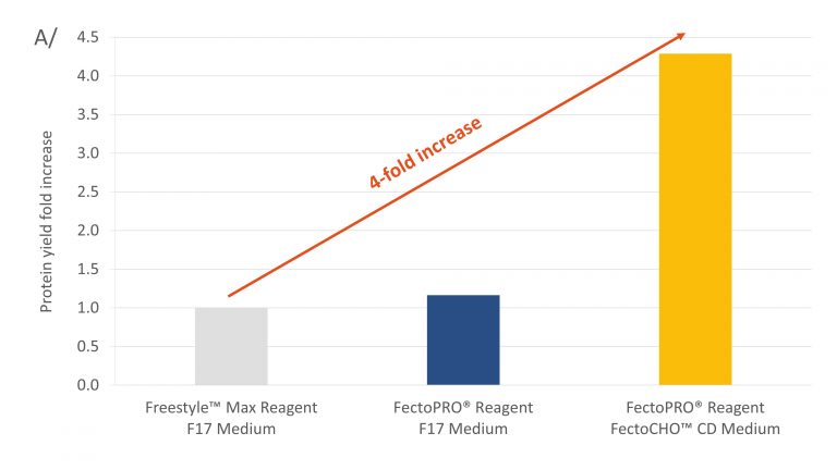 FectoCHO™ Expression system launch - Polyplus transfection
