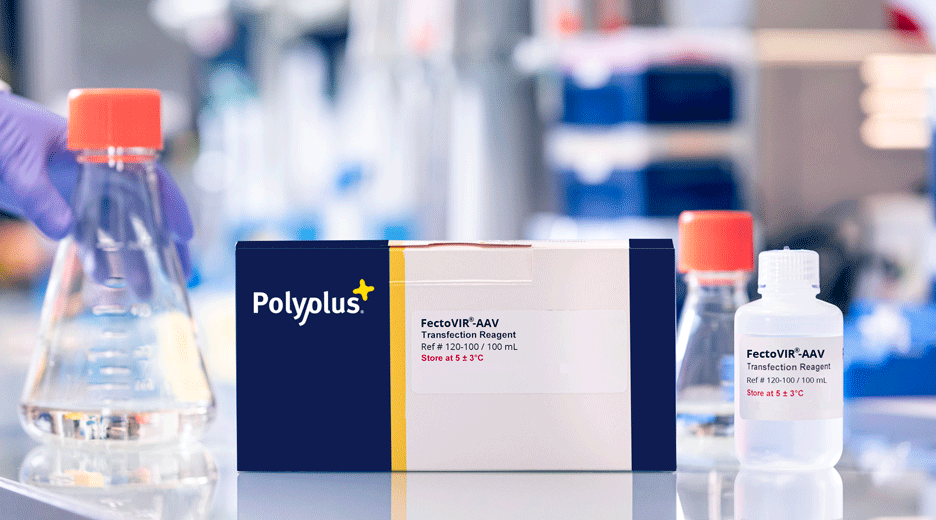 Optimization of AAV production for high-yielding and scalable GMP ...