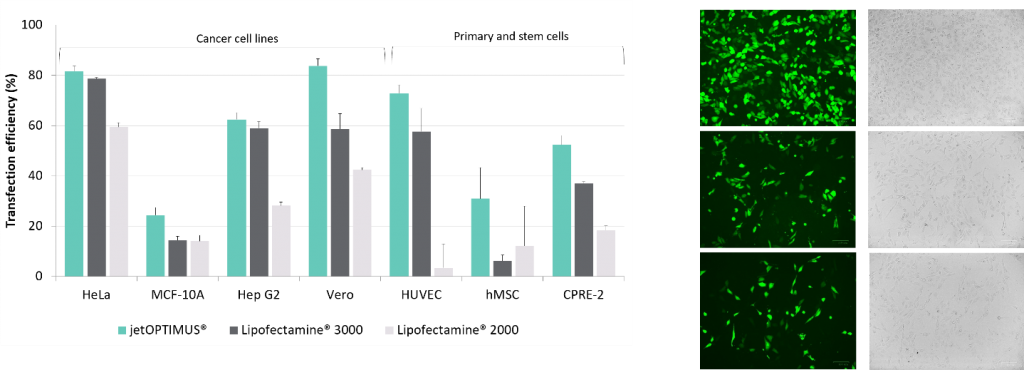 jetOPTIMUS® for hard-to-transfect cells - a case study