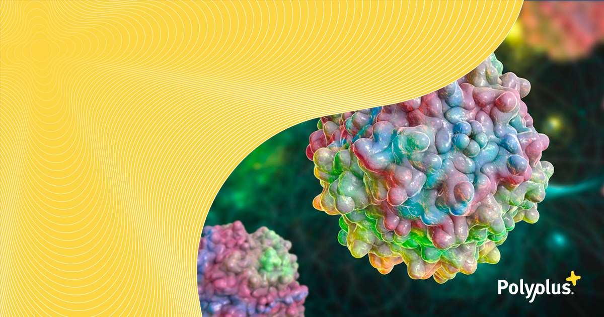 What does Plug-and-Play offer large-scale AAV manufacturing? - Polyplus