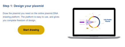 Multigene expression plasmid made simple