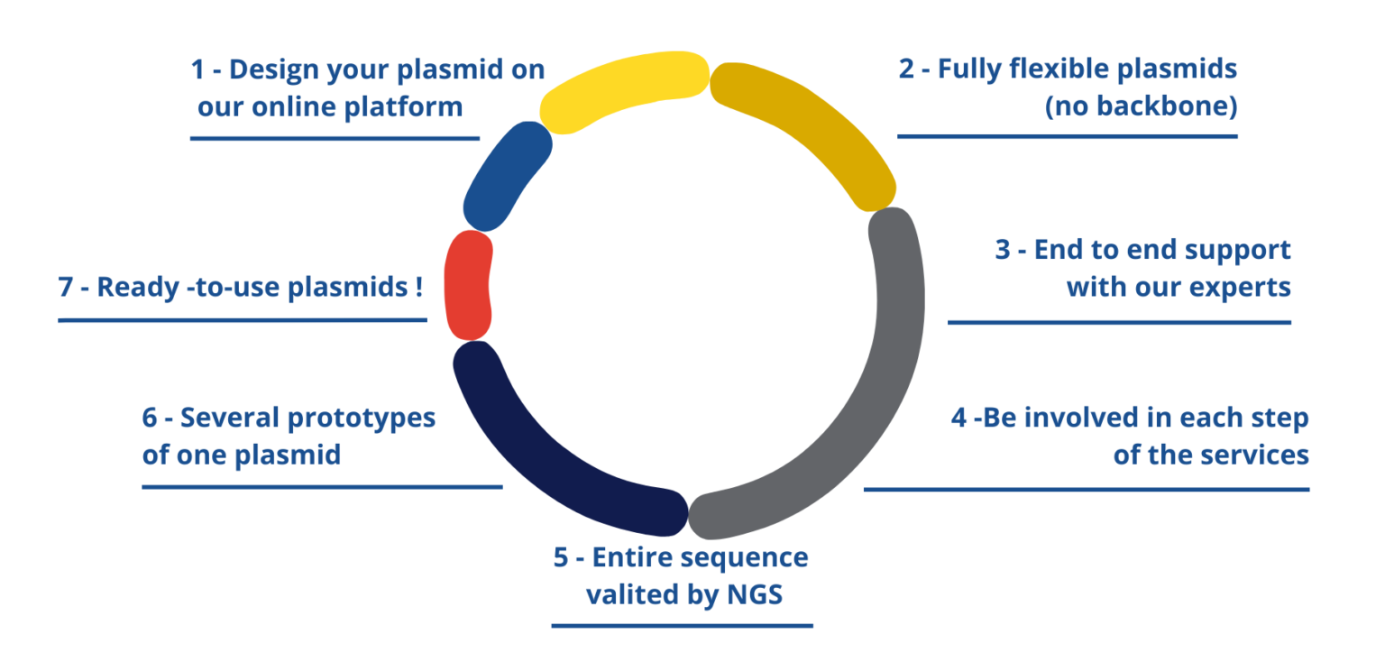 Tailor-made DNA Plasmids services