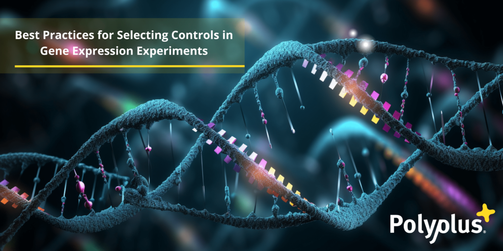 Best Practices for Selecting Controls in Gene Expression Experiments