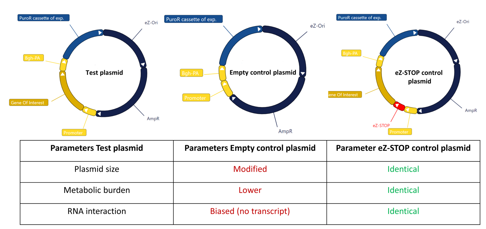Best Practices for Selecting Controls in Gene Expression Experiments