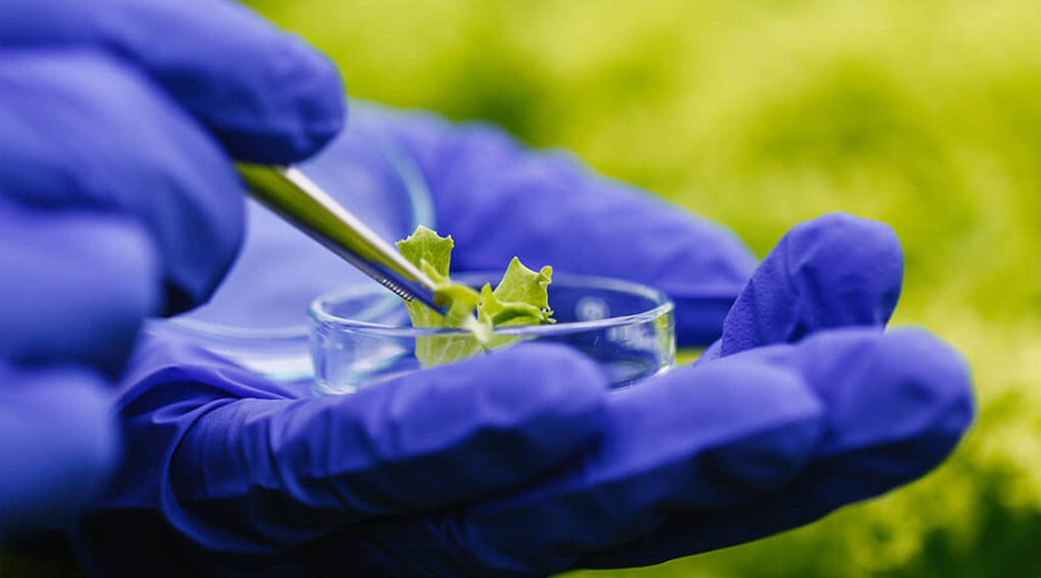 Basic Concepts of Genetic