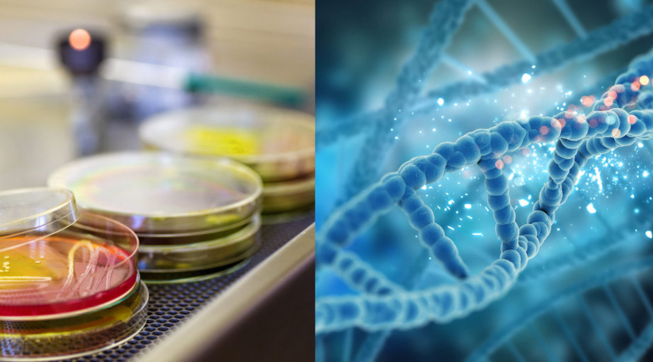 Basic Concepts of Genetic