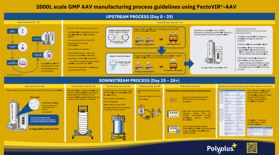 Cell and Gene Therapy - Polyplus®