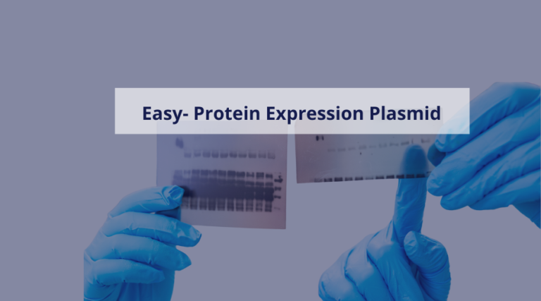 Articles - Polyplus®