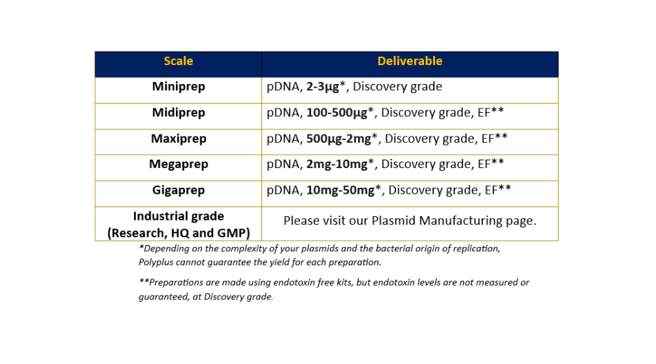 FAQ : Plasmid Engineering and Manufacturing - Polyplus