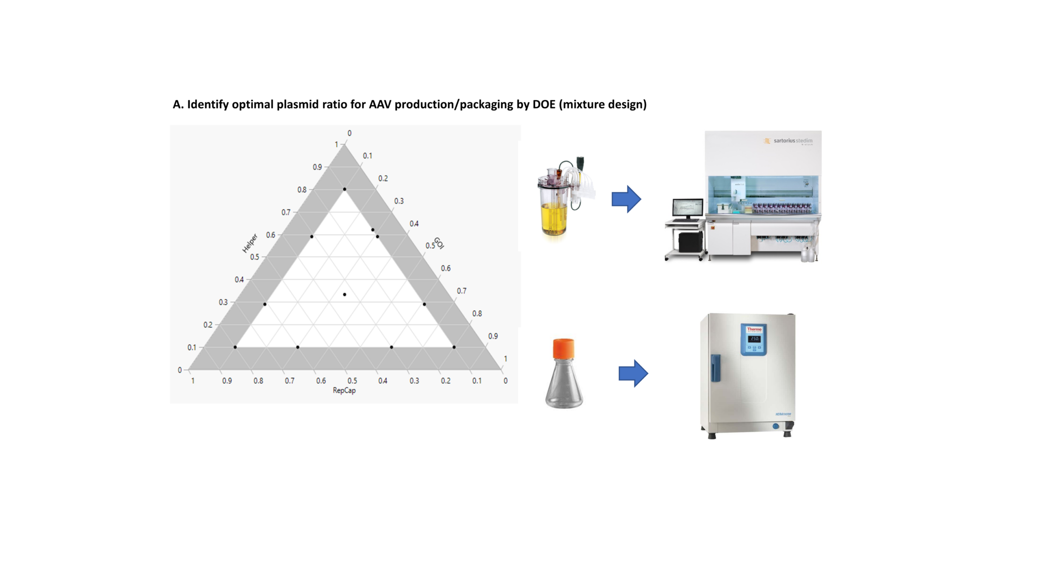Improving the Productivity and Packaging Efficiency of AAV ...